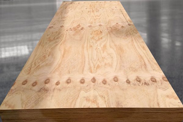 Structural Plywood - The Future of Construction - ROCPLY