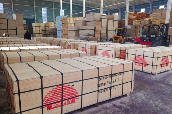 Non Structural Plywood: Quality Meets Versatility - ROCPLY